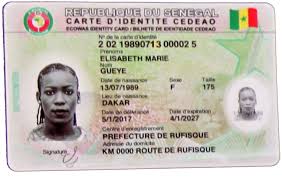 Cartes Cedeao: seules 10 millions seront éditées | Site d'infos